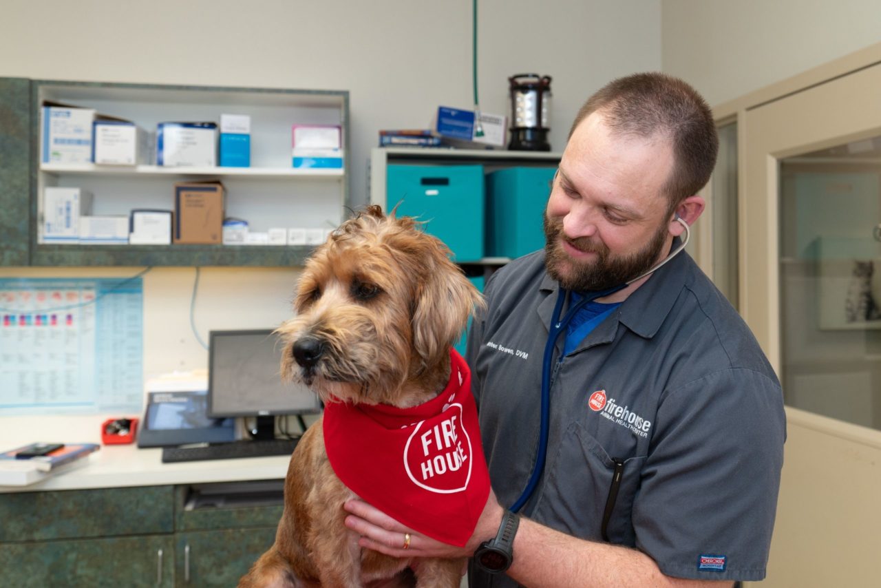 About Firehouse Round Rock – Vet In Round Rock, TX 78664