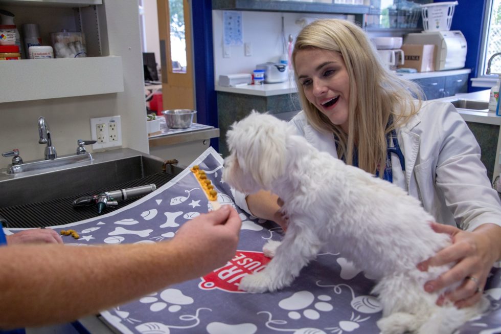 Best Veterinary Hospital In Round Rock, TX – Firehouse AH